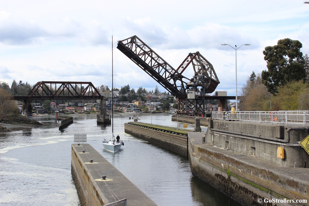 [March in Seattle] Ballard Locks (Hiram M. Chittenden Locks) - Go ...